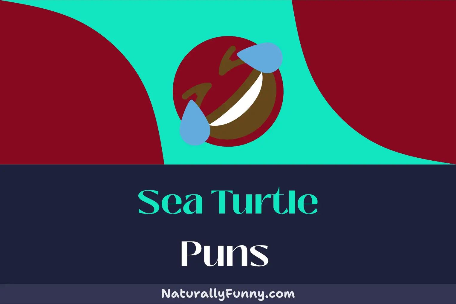 484 Sea Turtle Puns That Shell Definitely Crack You Up - Naturally Funny